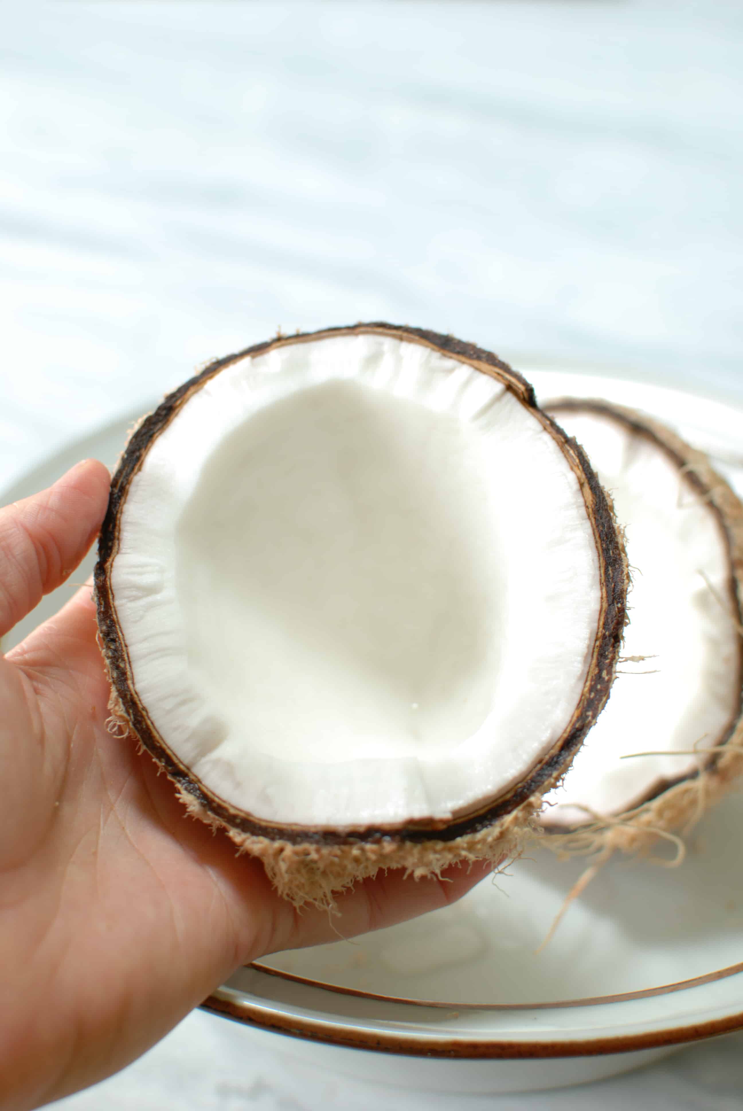 fresh-coconut-milk-step-3